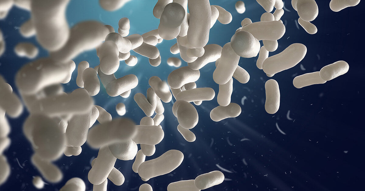 Good Bacteria - Know about Useful Bacteria of our Gut – Setu Nutrition