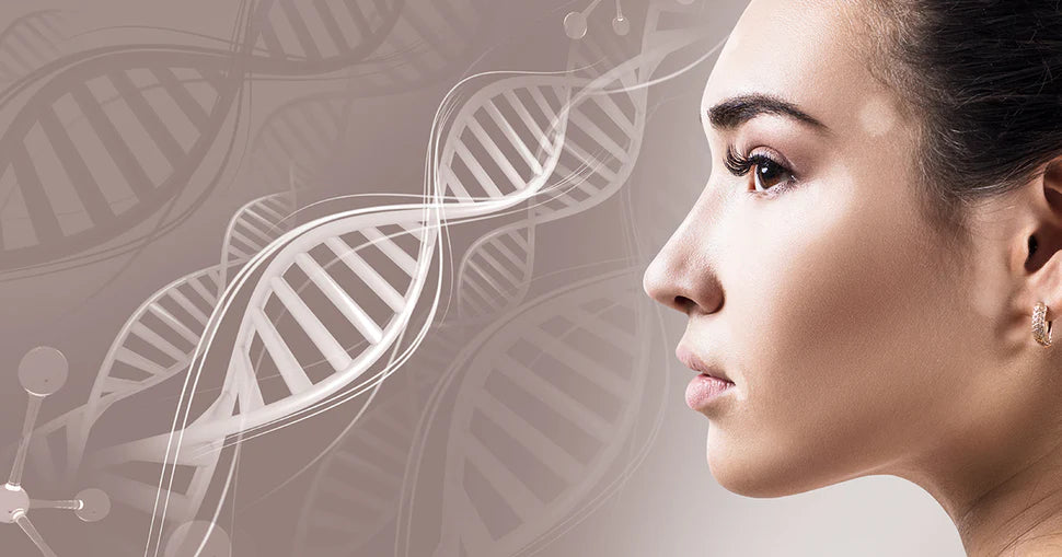 The Power of Collagen: Understanding Its Role in Your Body – Setu Nutrition